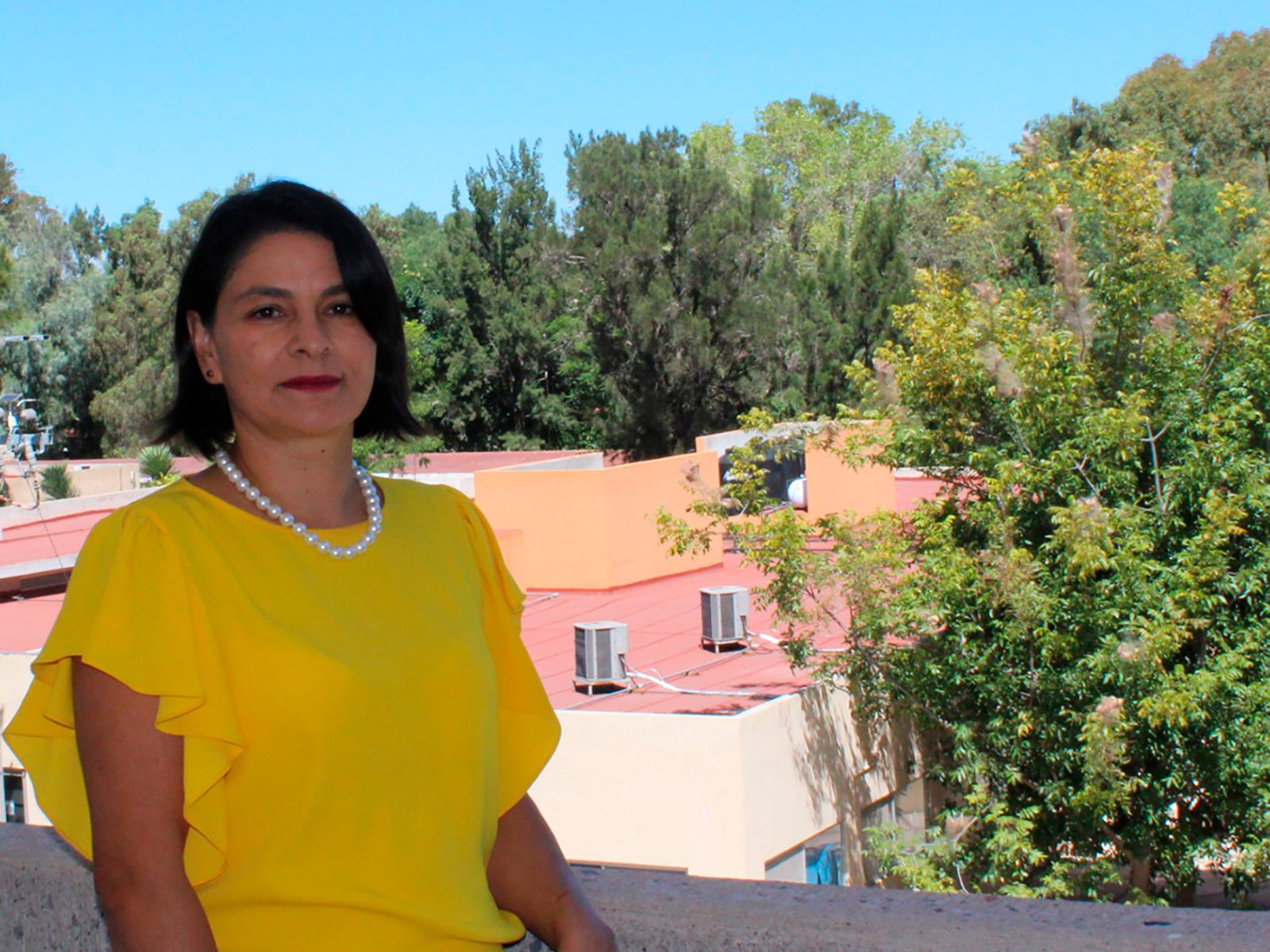 FORCYT aprobó proyecto de investigación, acción e innovación para ...