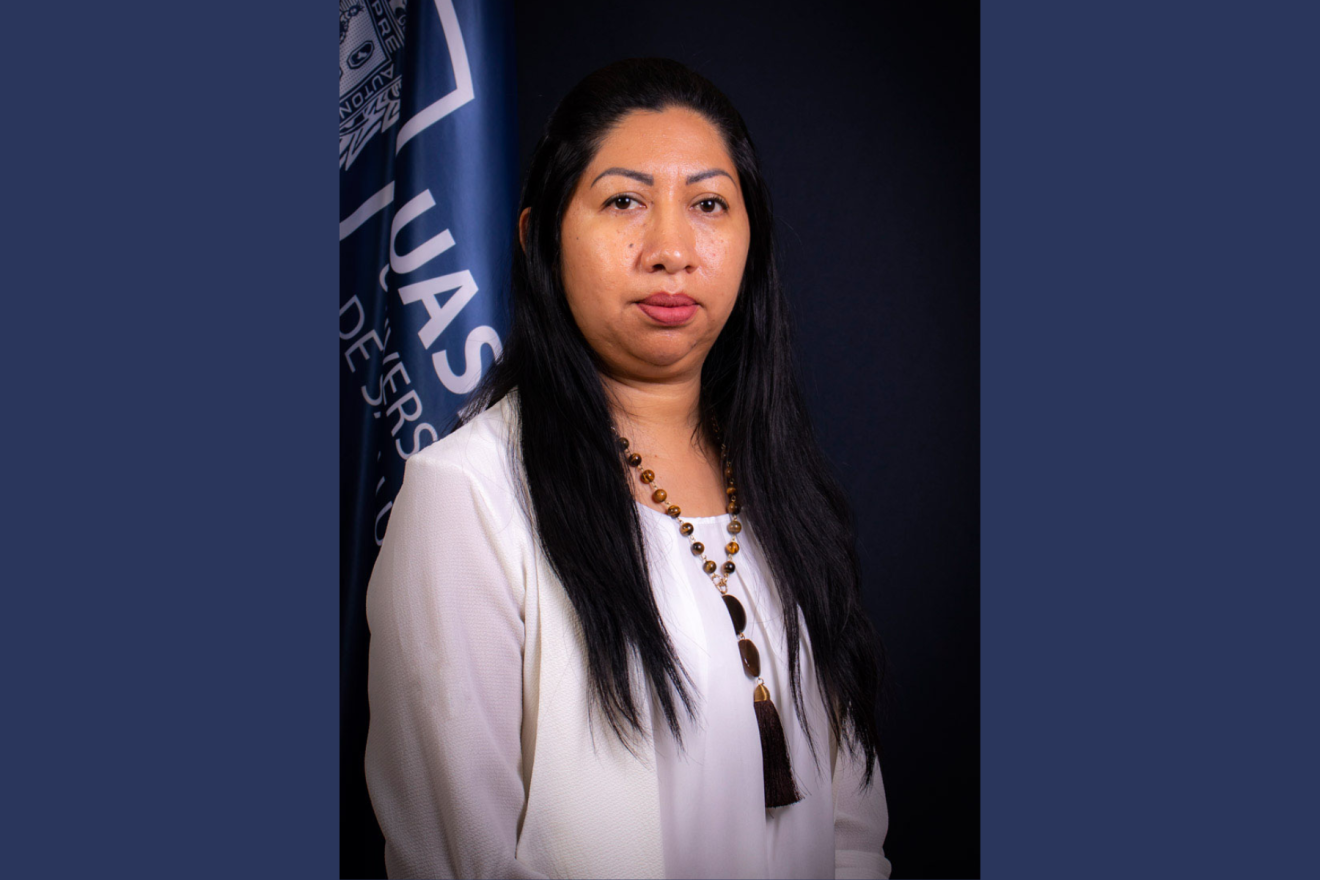 Generación de combustibles verdes, investigación desarrollada por la ...